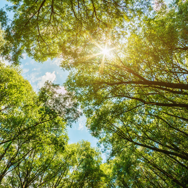 Magnusson Klemencic Associates | MKA - Seattle